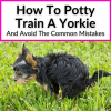 How To Potty Train A Yorkie Puppy (And Avoid The Common Mistakes)
